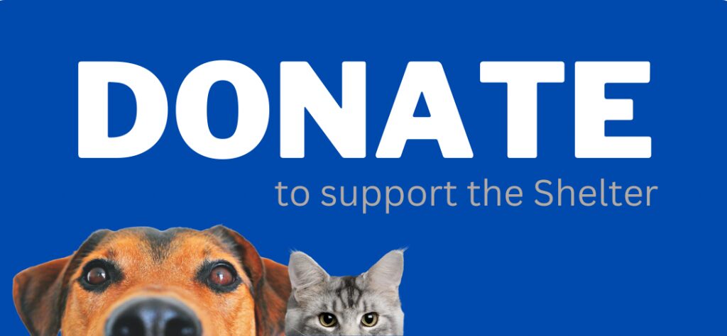 donate-1024×474 – Stone County Humane Society